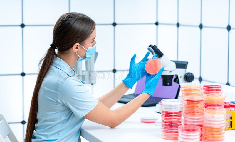 Drug Screening: Petri Dishes are Utilized in Drug Screening Assays To ... Drug Screening: Petri Dishes are Utilized in Drug Screening Assays To ...