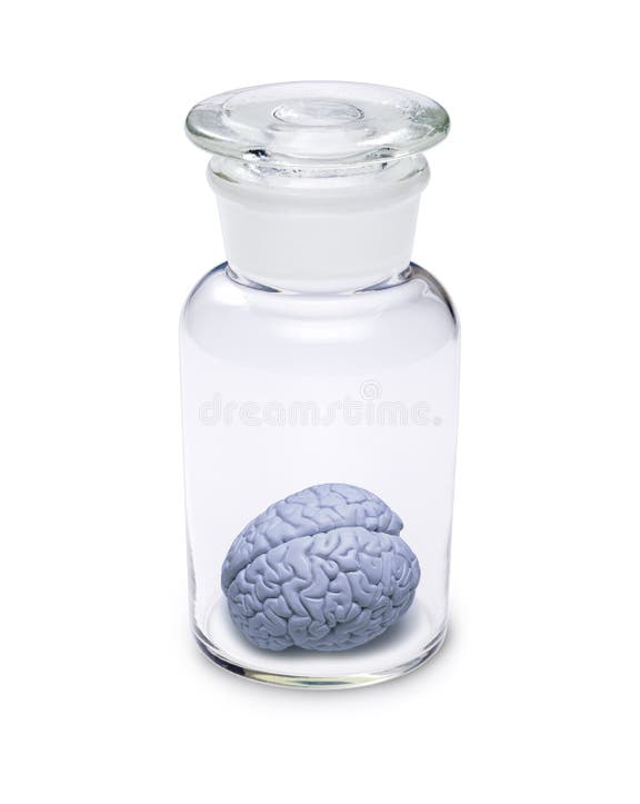 497 Brain Container Stock Photos - Free & Royalty-Free Stock Photos ...