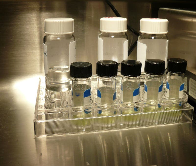 Drugs in a glass stock image. Image of chemistry, drugs - 7429567