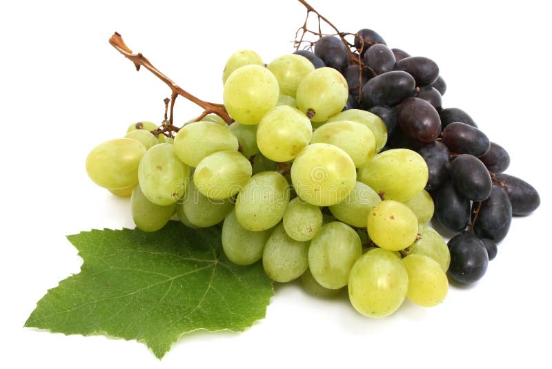 Witte druif stock foto. Afbeelding bestaande uit doorbladert - 10540226