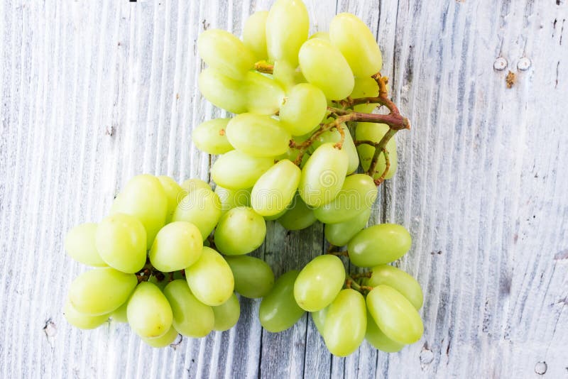 Druif stock afbeelding. Image of voedsel, druif, wijnstok - 112210589
