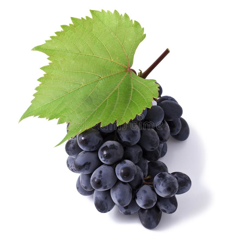 Druif stock afbeelding. Image of druif, achtergrond, organisch - 33871449