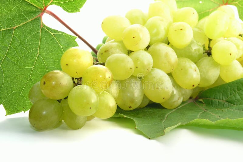 Druiven stock foto. Image of pulp, vrucht, rood, purper - 229446