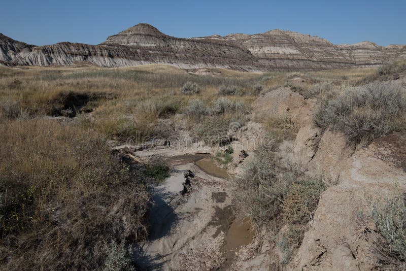 Drumheller Badlands Alberta Scenery Travel Stock Afbeelding - Image of ...