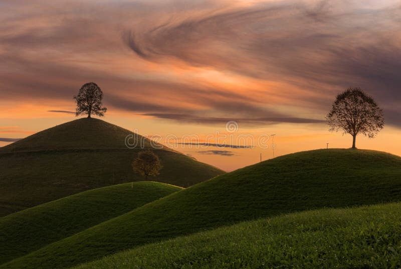 Drumlin Hills with a Single Tree on Each Top at the Colorful Sunset Stock Image - Image of ...