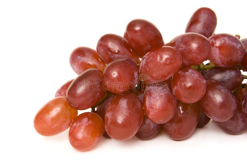 Druva arkivfoto. Bild av grupp, studio, äta, naturligt - 3355822