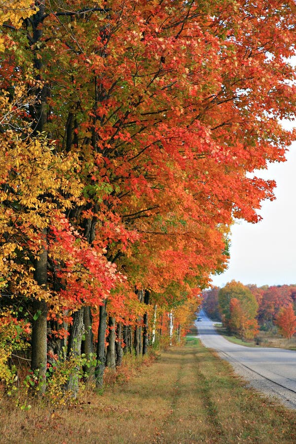 Route De Campagne En Automne Photo stock - Image du pays, bois: 6989574