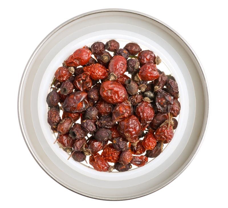 Dry stock photo. Image of briar, fruit, stem, healthy - 19074166