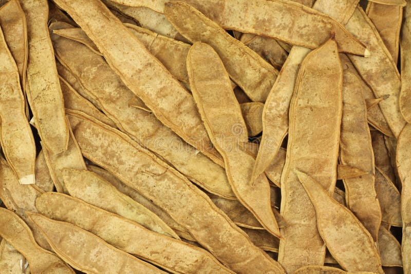 Dry Acacia Seeds Background Stock Image - Image of gene, pool: 58623877