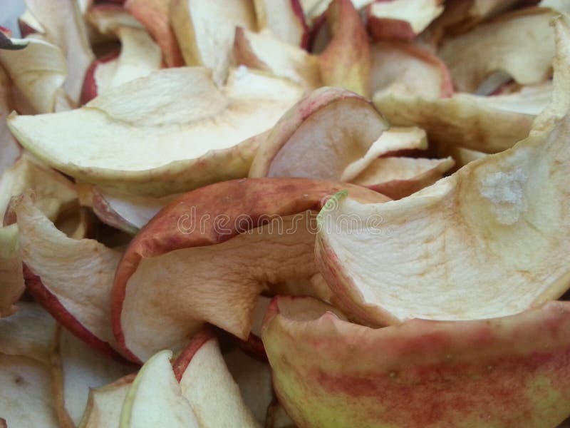 Dry apples stock photo. Image of save, apple, fruit, apples - 45005498