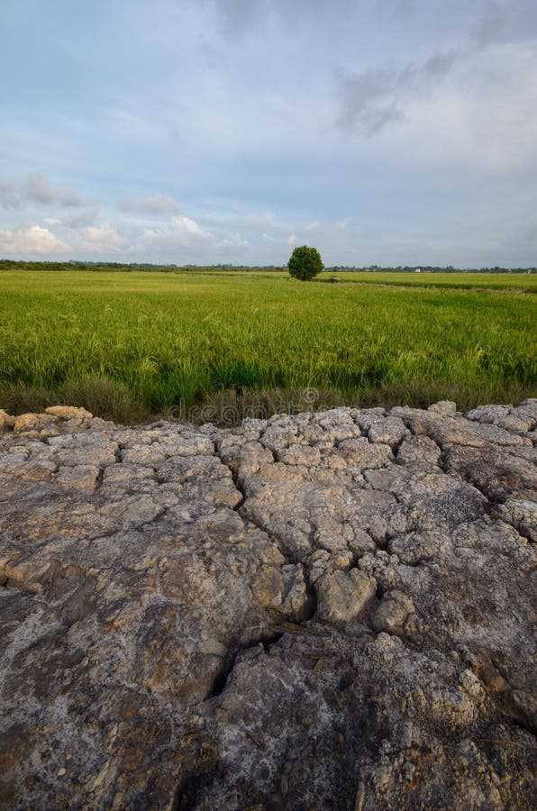Dry and Arid Land with Failed Crops Due To Climate Change and Global ...