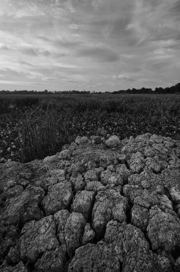 Dry and Arid Land with Failed Crops Due To Climate Change and Global ...