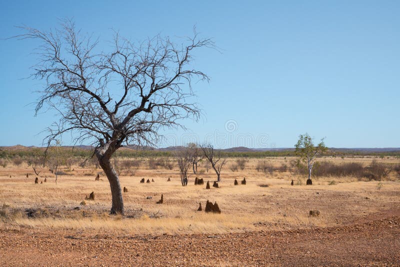 Dry And Arid Outback Australia Stock Image - Image of summer, ochre ...