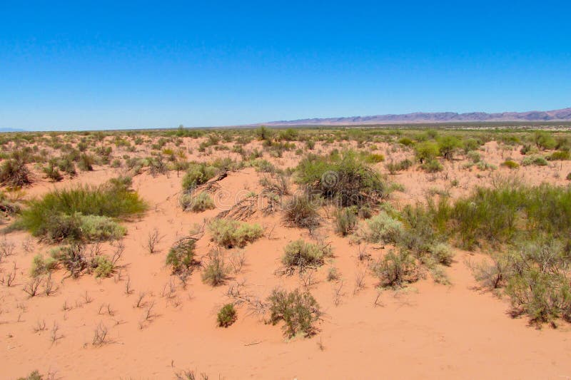 Dry arid red sand desert stock photo. Image of country - 314121286