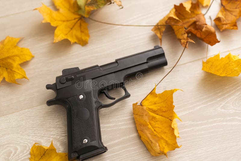 Dry autumn leaves and gun stock photo. Image of armory - 260103416