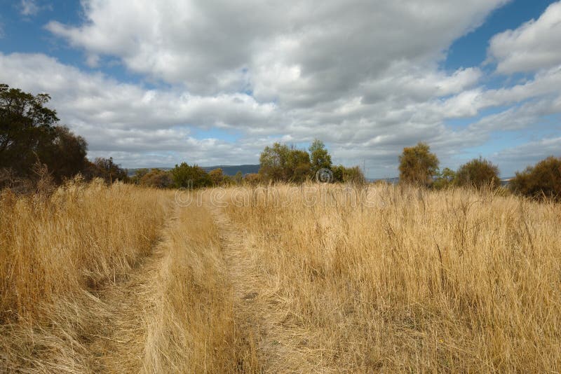 Dry autumn meadow stock image. Image of landscape, autumn - 91980061