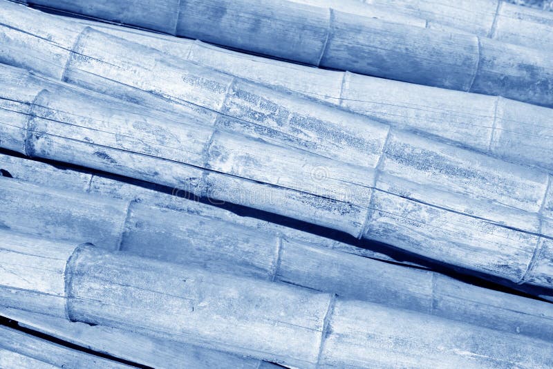 Dry bamboo stock photo. Image of dense, ways, still, restore - 28245756