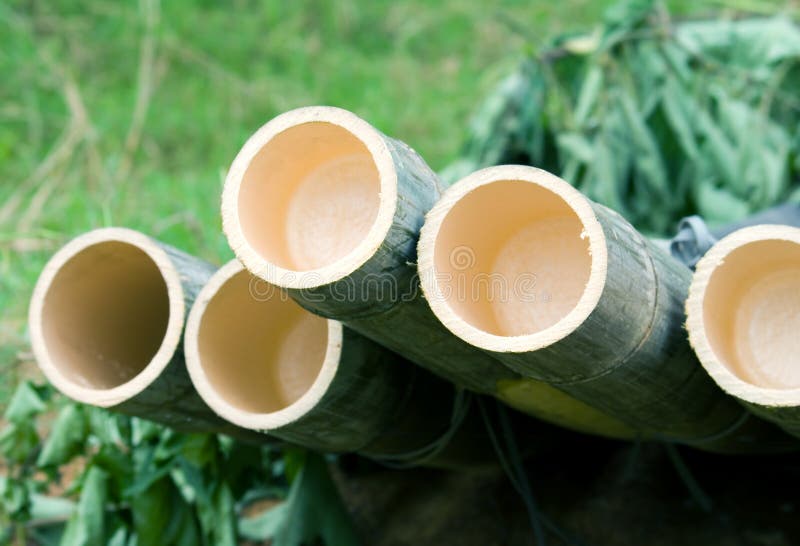 Dry bamboo logs stock photo. Image of background, close - 6404548
