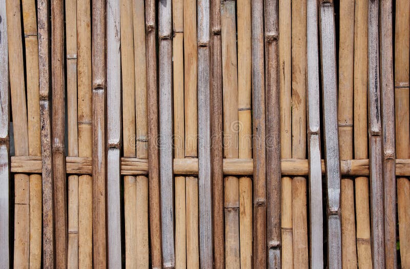 Dry bamboo pattern stock photo. Image of pattern, background - 20345886