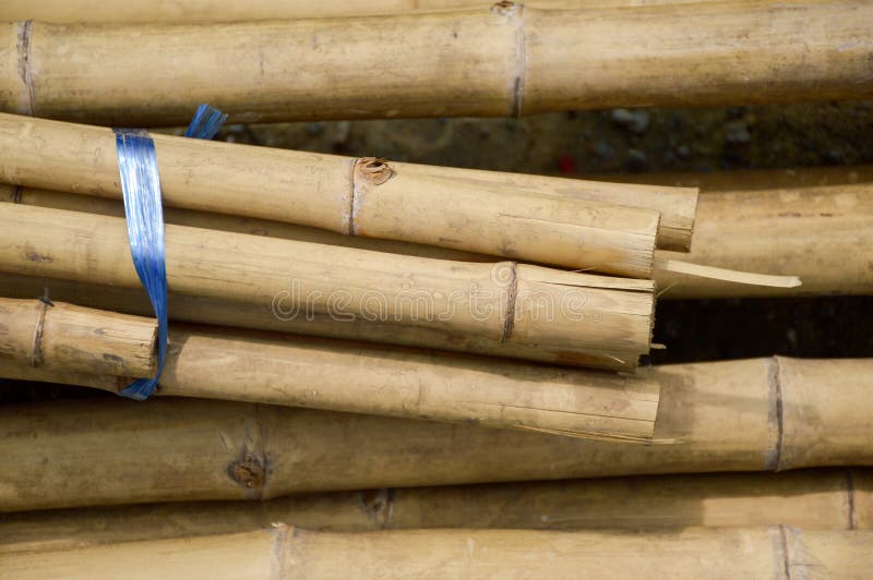 230+ Dry bamboo Free Stock Photos - StockFreeImages