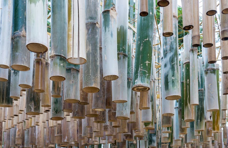 Bamboo section stock photo. Image of form, graphic, bamboo - 27668528