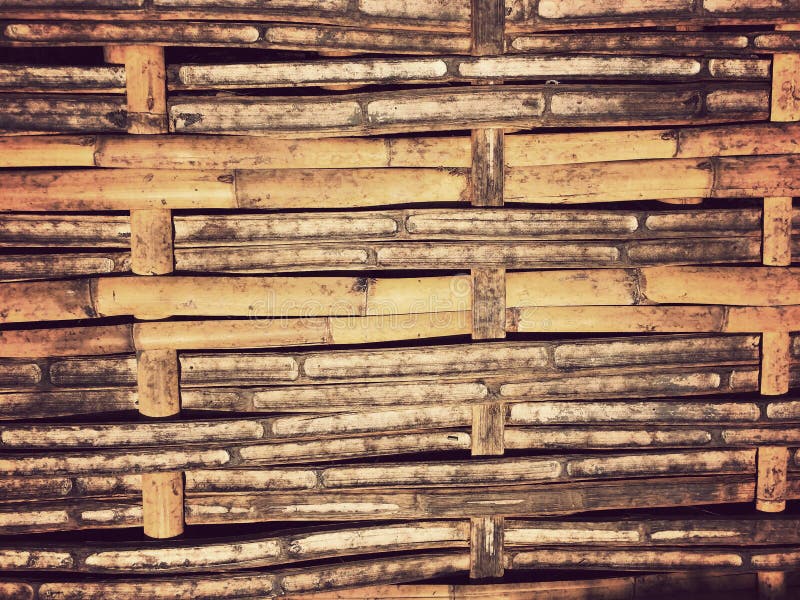 Dry Bamboo Texture Background Wall with Natural Patterns for Vintage ...