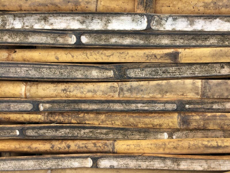 Dry Bamboo Texture Background Wall with Natural Patterns for Vintage ...