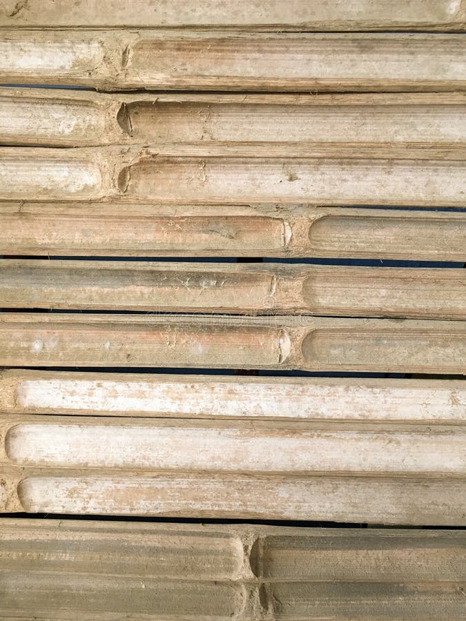 Dry bamboo wall stock image. Image of rugged, bamboo - 80242165