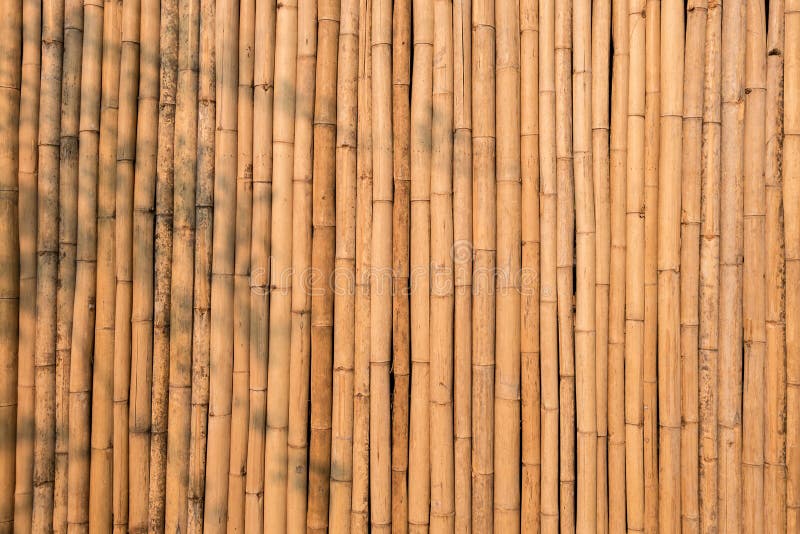 Dry bamboo wall stock image. Image of pattern, nature - 72429013