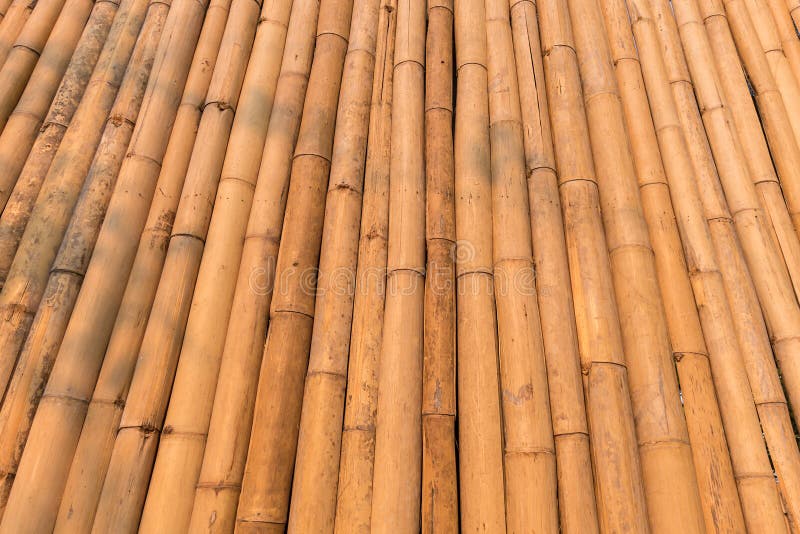 Dry bamboo wall stock photo. Image of natural, fence - 72429094