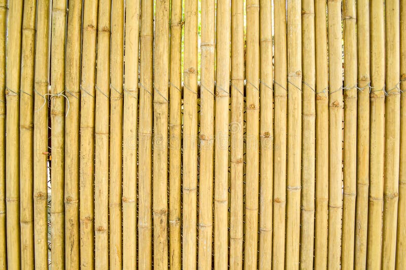 Dry bamboo wall texture stock image. Image of surface - 136411599