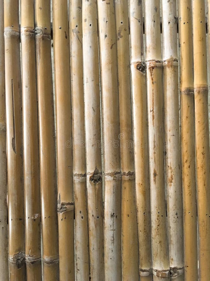 Dry bamboo wall texture stock photo. Image of rugged - 80242550