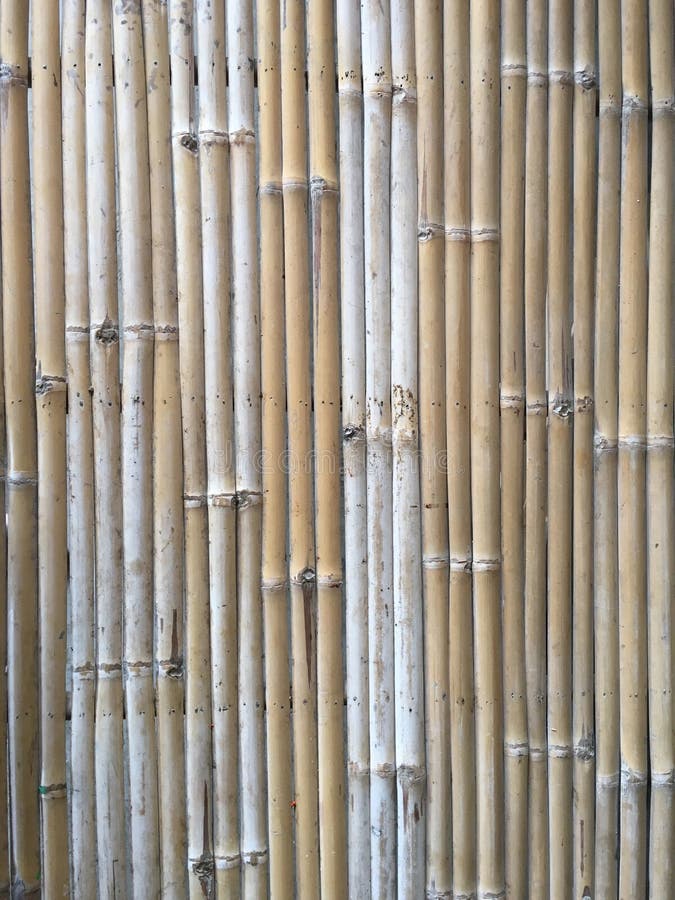 Dry bamboo wall texture stock image. Image of surface - 80896443