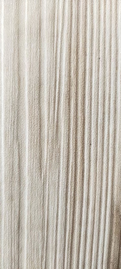 Dry bark surface root stock photo. Image of bark, surface - 219260000