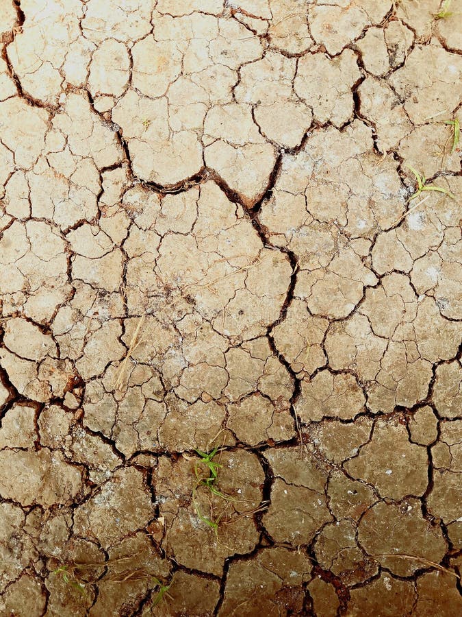 Dry and Barren Land during the Dry Season Stock Photo - Image of season ...