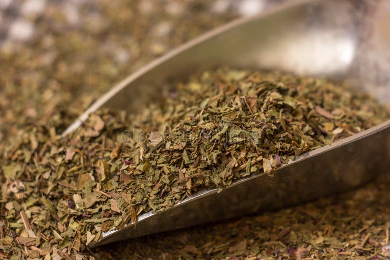 Dry basil stock photo. Image of natural, basil, flavoring - 77608916