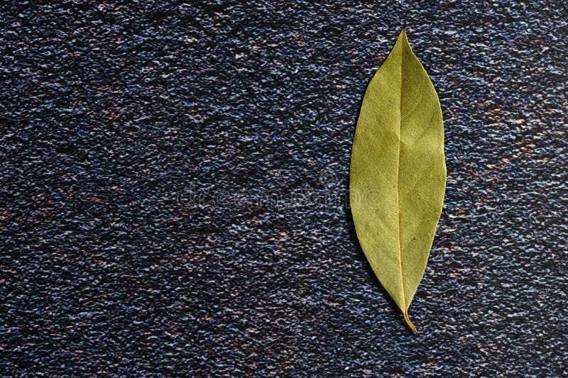 Dry Bay Laurel Leave on Stone Background Stock Photo - Image of herbal ...