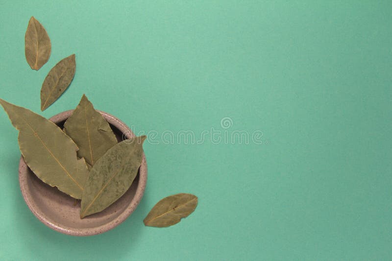 Dry Bay Leaves in a Pot. on a Turquoise Background. Place for Text ...