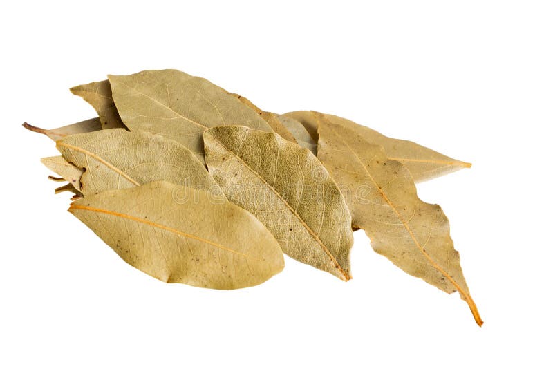 Dry Bay Leaves on a White Background Stock Image - Image of cooking ...