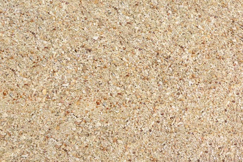 Beach Sand with Seashells and Coral for Texture Stock Photo - Image of ...