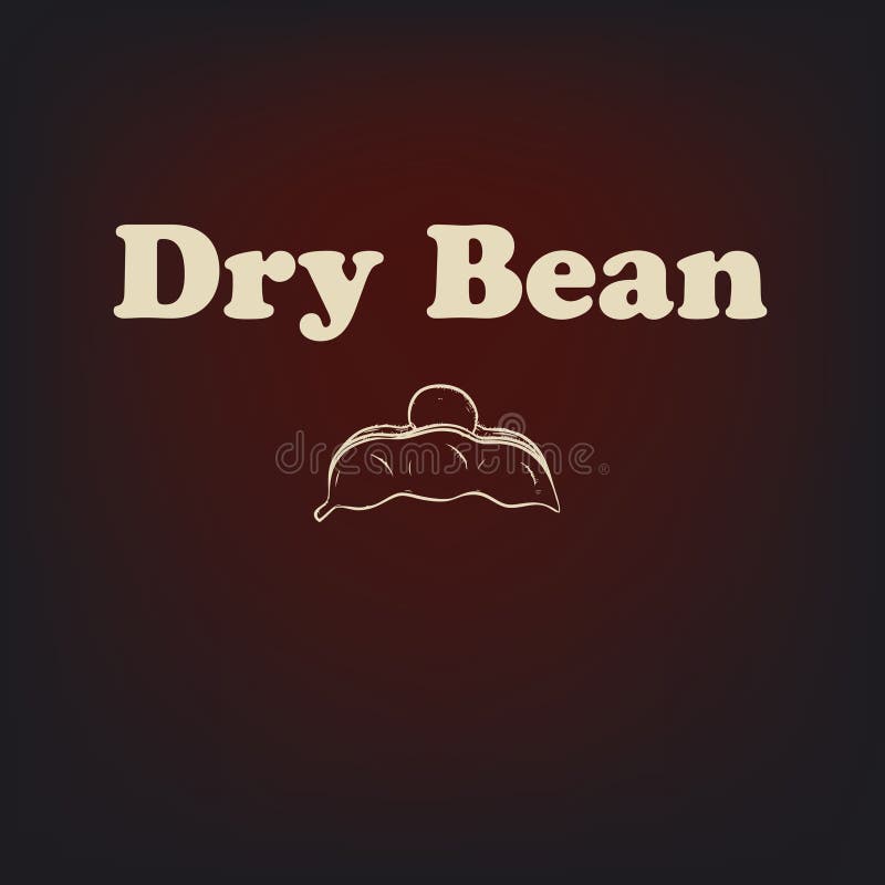 Dry Bean stock vector. Illustration of conventional - 265883453