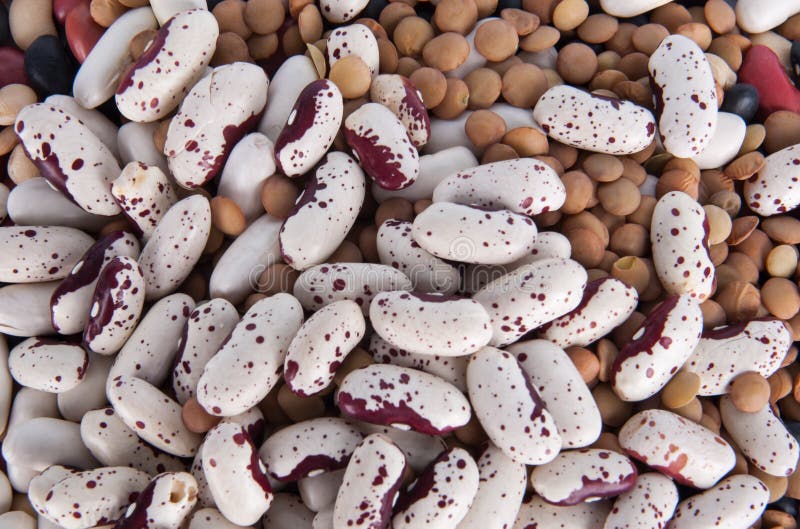 Dry beans stock photo. Image of bean, food, seed, nutrition - 40014414