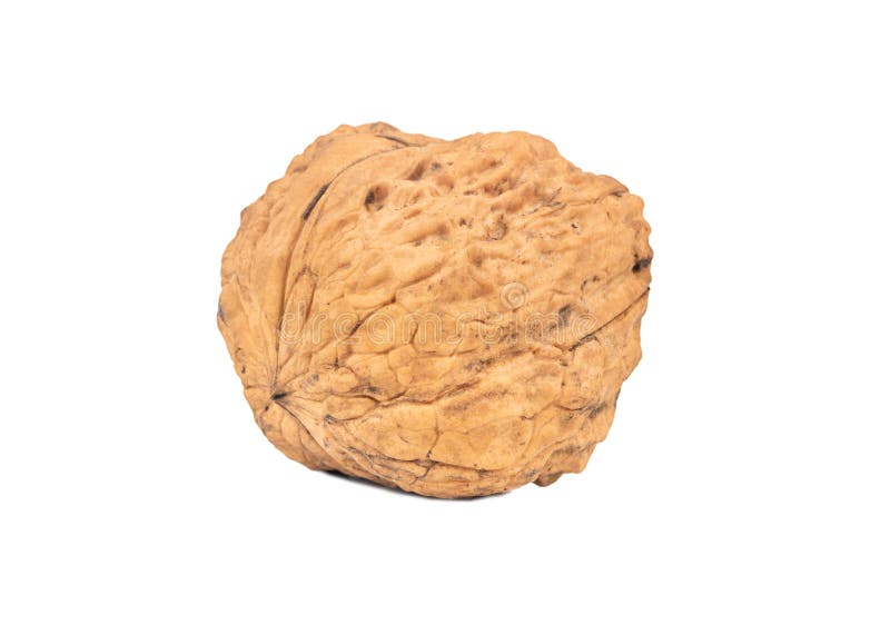 Large walnut isolate stock photo. Image of large, stacking - 132851906