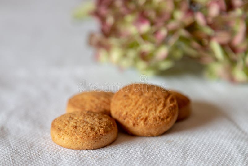 Dry biscuits stock photo. Image of decoration, biscuits - 134601696