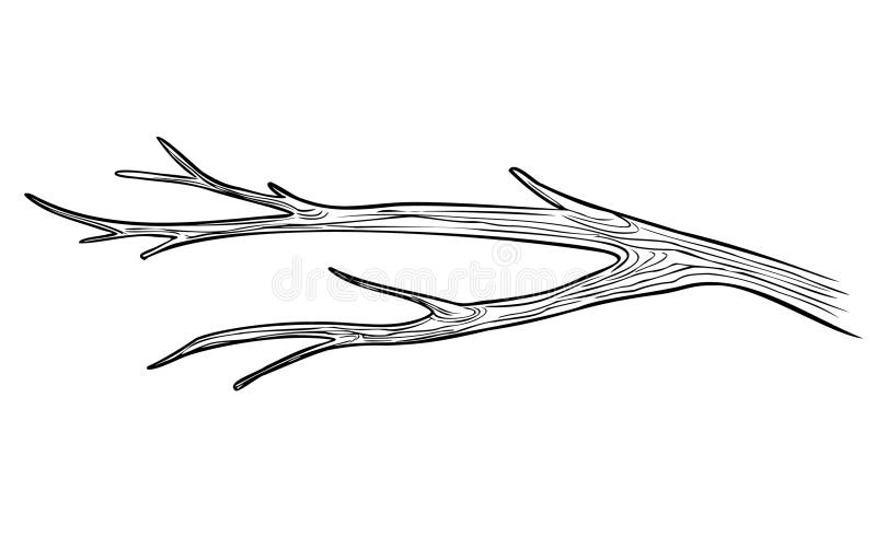 Stick Branch Drawing Stock Illustrations – 3,033 Stick Branch Drawing ...