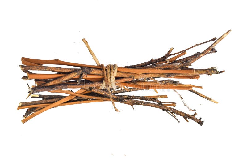 4,303 Small Dry Tree Branches Stock Photos - Free & Royalty-Free Stock ...