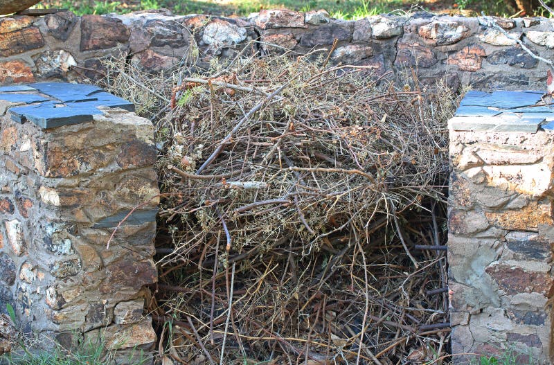 DRY BRANCHES in an OUTSIDE BRI AREA Stock Image - Image of dead ...