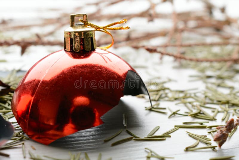 Dry Branches of Spruce and Broken Ball Stock Photo - Image of dispose ...