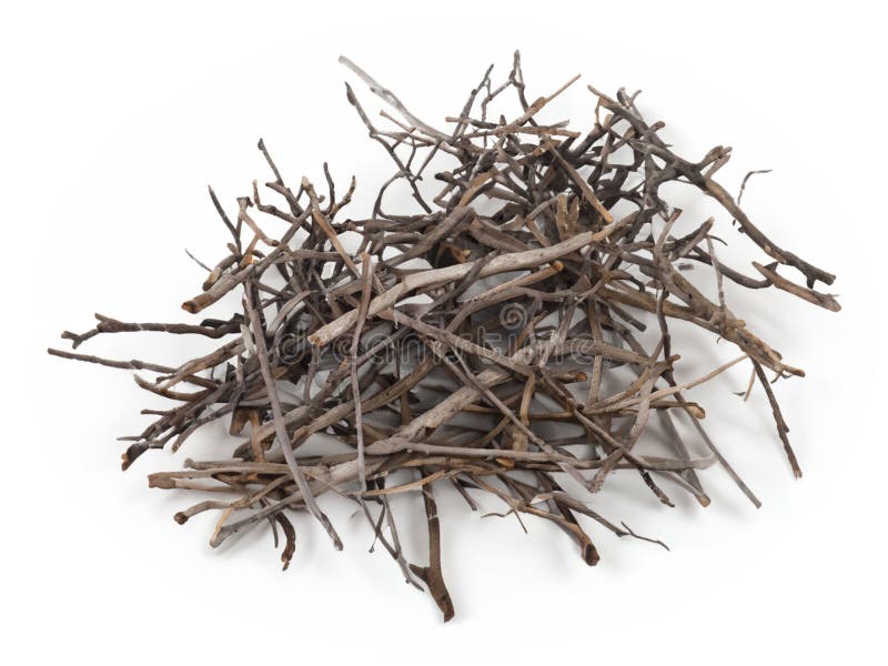 Dry Branches of Tree on White Background Stock Image - Image of heap ...