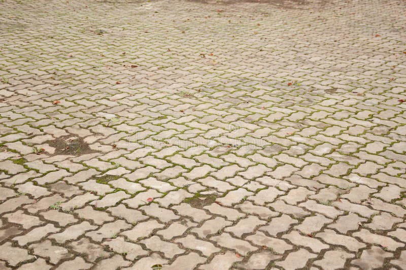Dry Brick Floor Texture in Garden Stock Image - Image of structure ...